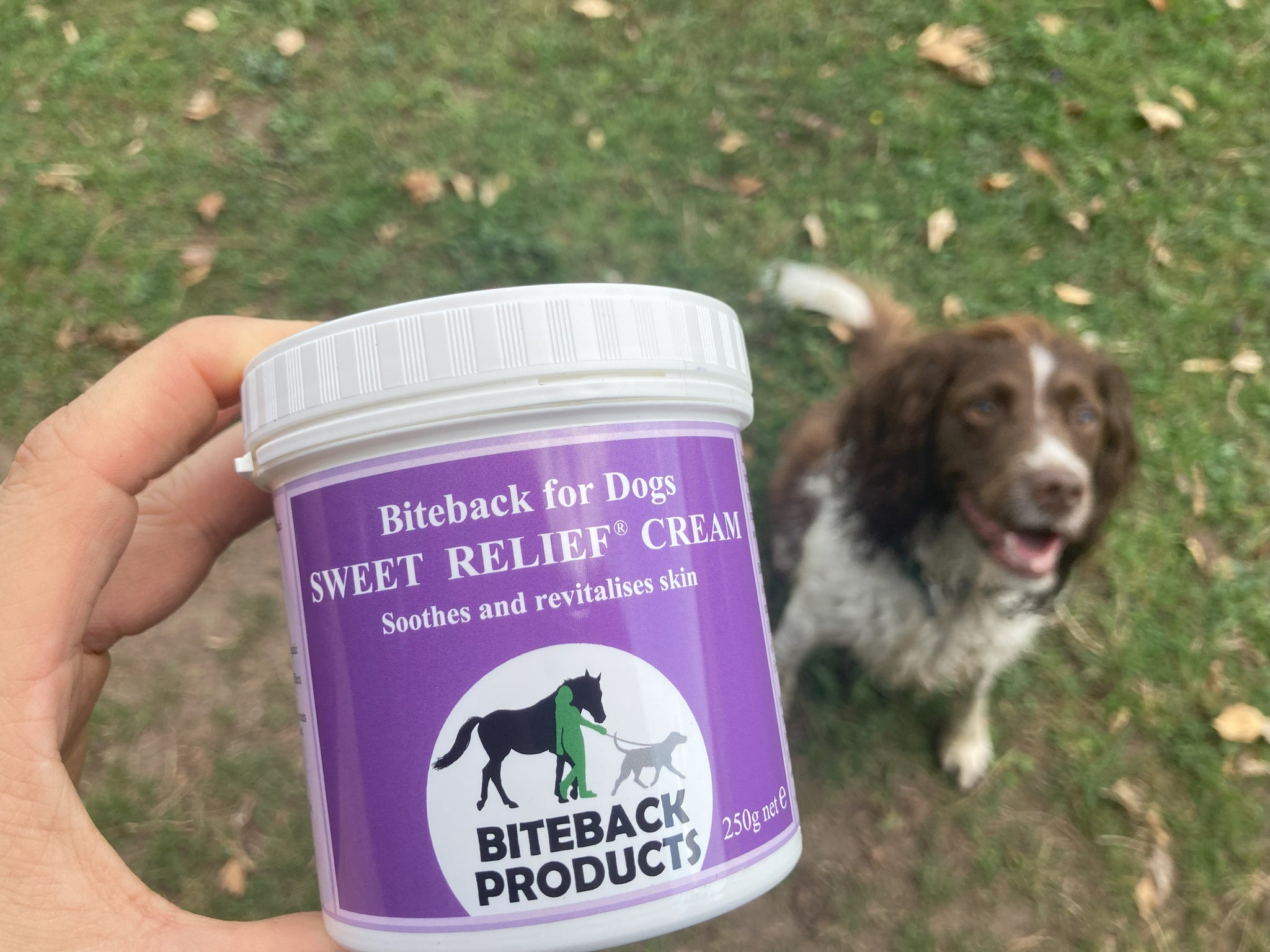 Biteback 'Sweet Relief' Cream For Itchy Dog Skin, Paw Balm – Biteback ...