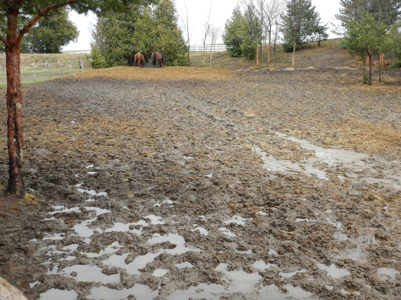 Biteback Products - what a relief!